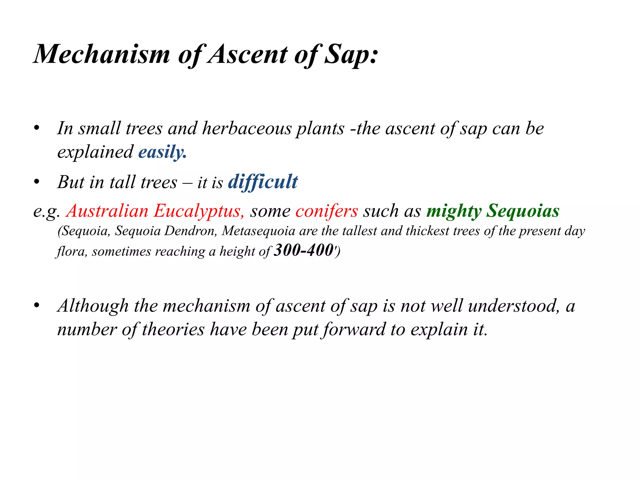 Ascent of sap (plant physiology) | PPTX