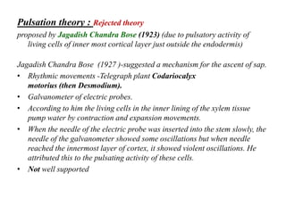 Ascent of sap (plant physiology) | PPTX