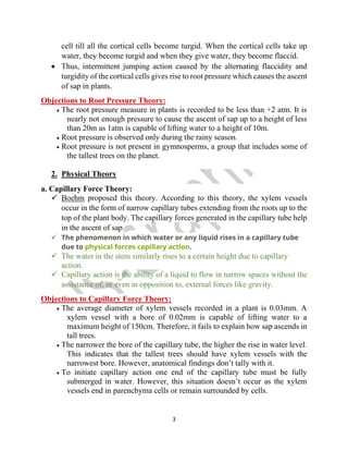 Ascent of Sap / Transpiration Pull Theory | PDF