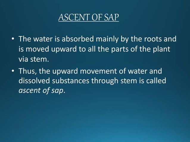 ASCENT OF SAP-342497462.pptx