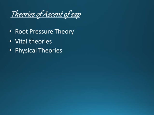 ASCENT OF SAP-342497462.pptx