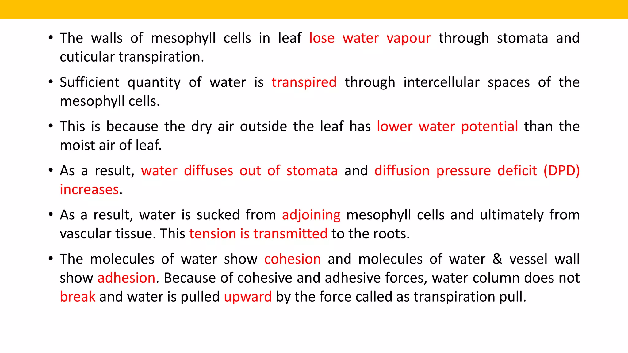 Ascent of sap and transpiration | PPTX
