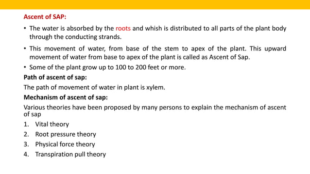 Ascent of sap and transpiration | PPTX