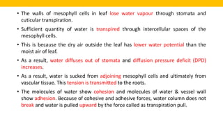 Ascent of sap and transpiration | PPTX