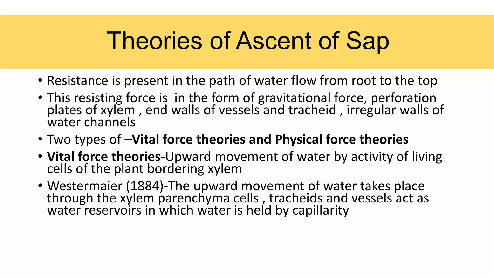 Ascent of sap [autosaved] | PPTX