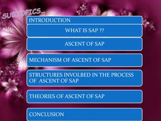 Ascent of sap | PPTX