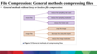AS_Chapter_1_Information_Representation.pptx