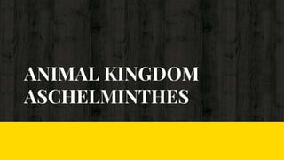 Aschelminthes | PPTX