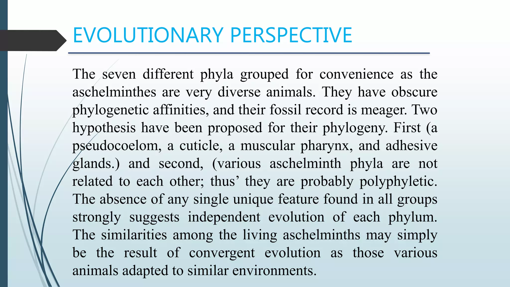 Aschelminthes (lophotrochozoan and ecdysozoan phyla) | PPTX