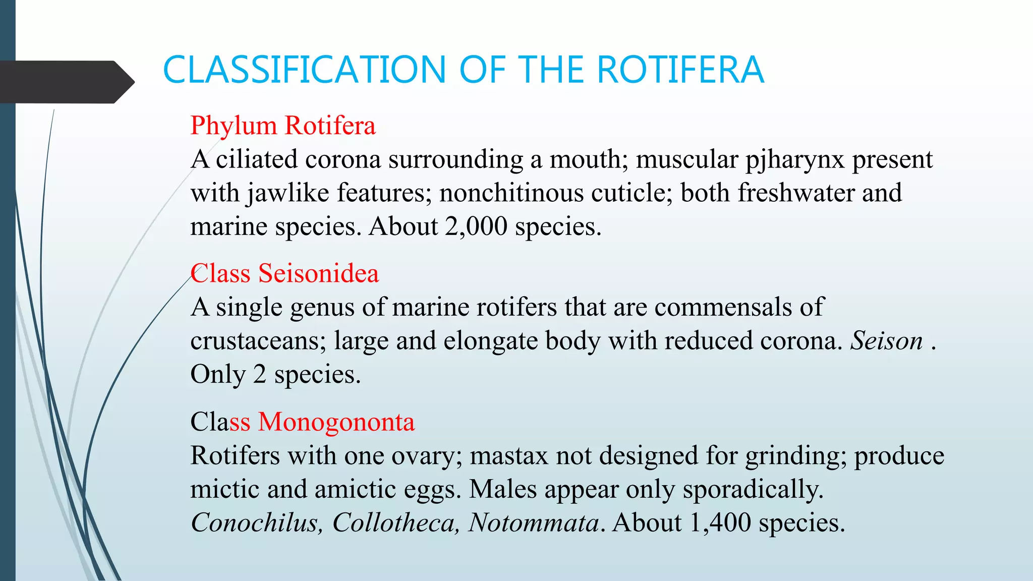 Aschelminthes (lophotrochozoan and ecdysozoan phyla) | PPTX