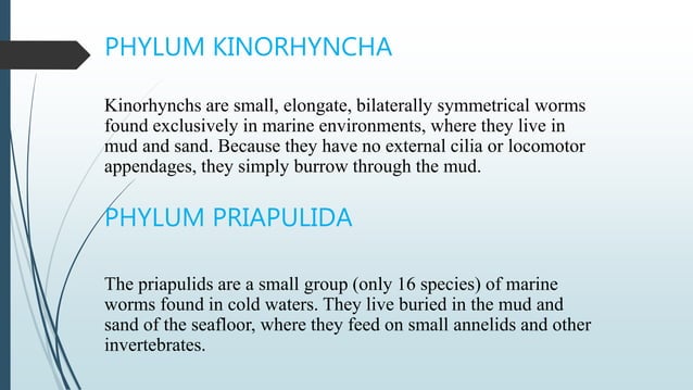 Aschelminthes (lophotrochozoan and ecdysozoan phyla) | PPTX ...