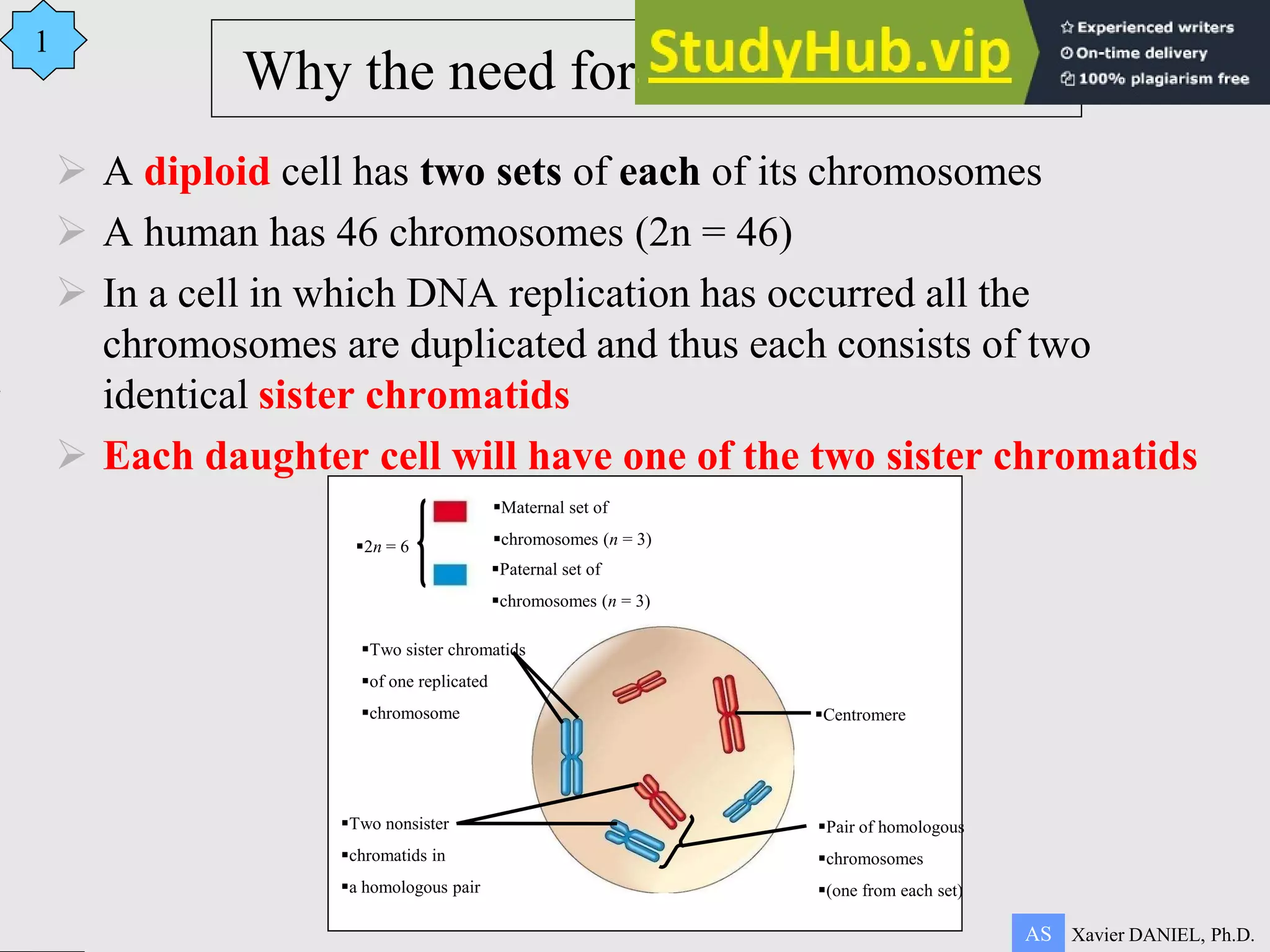 AS CIE Cell And Nuclear Division (Mitosis And Meiosis) | PPT