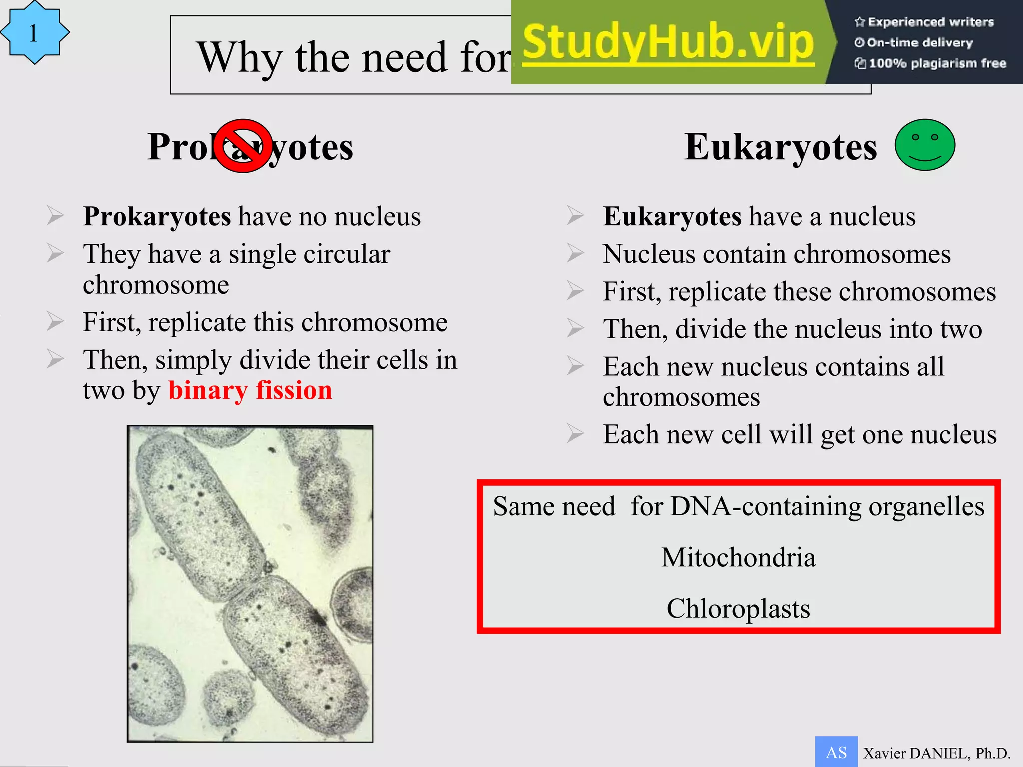 AS CIE Cell And Nuclear Division (Mitosis And Meiosis) | PPT