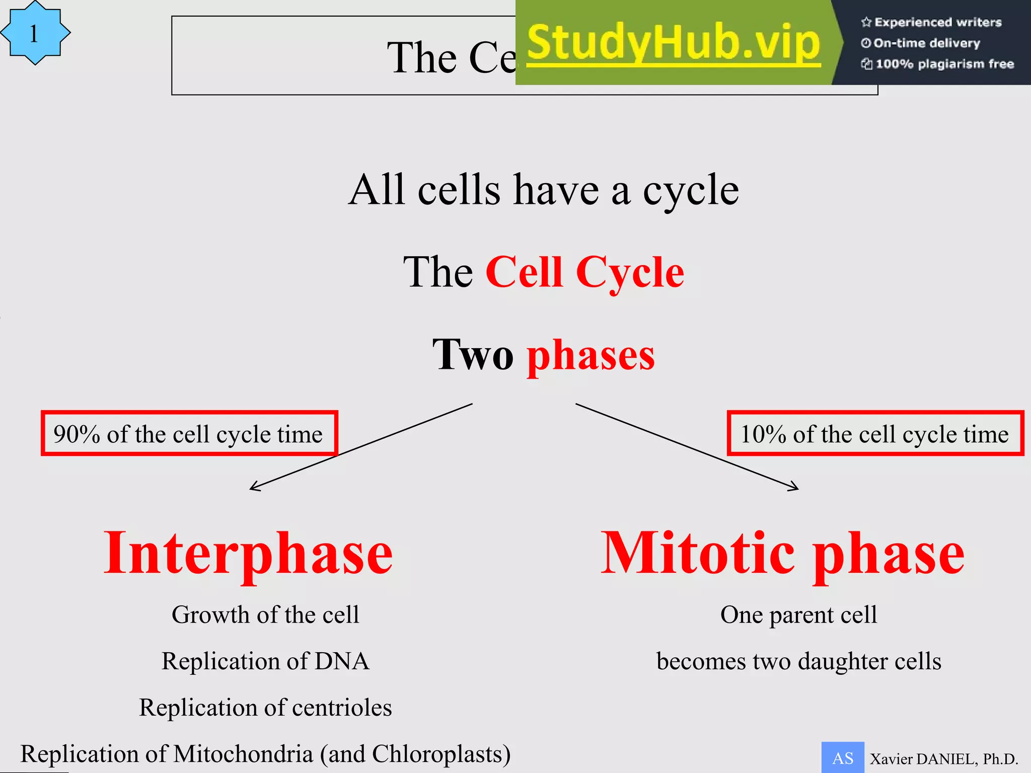 AS CIE Cell And Nuclear Division (Mitosis And Meiosis) | PPT