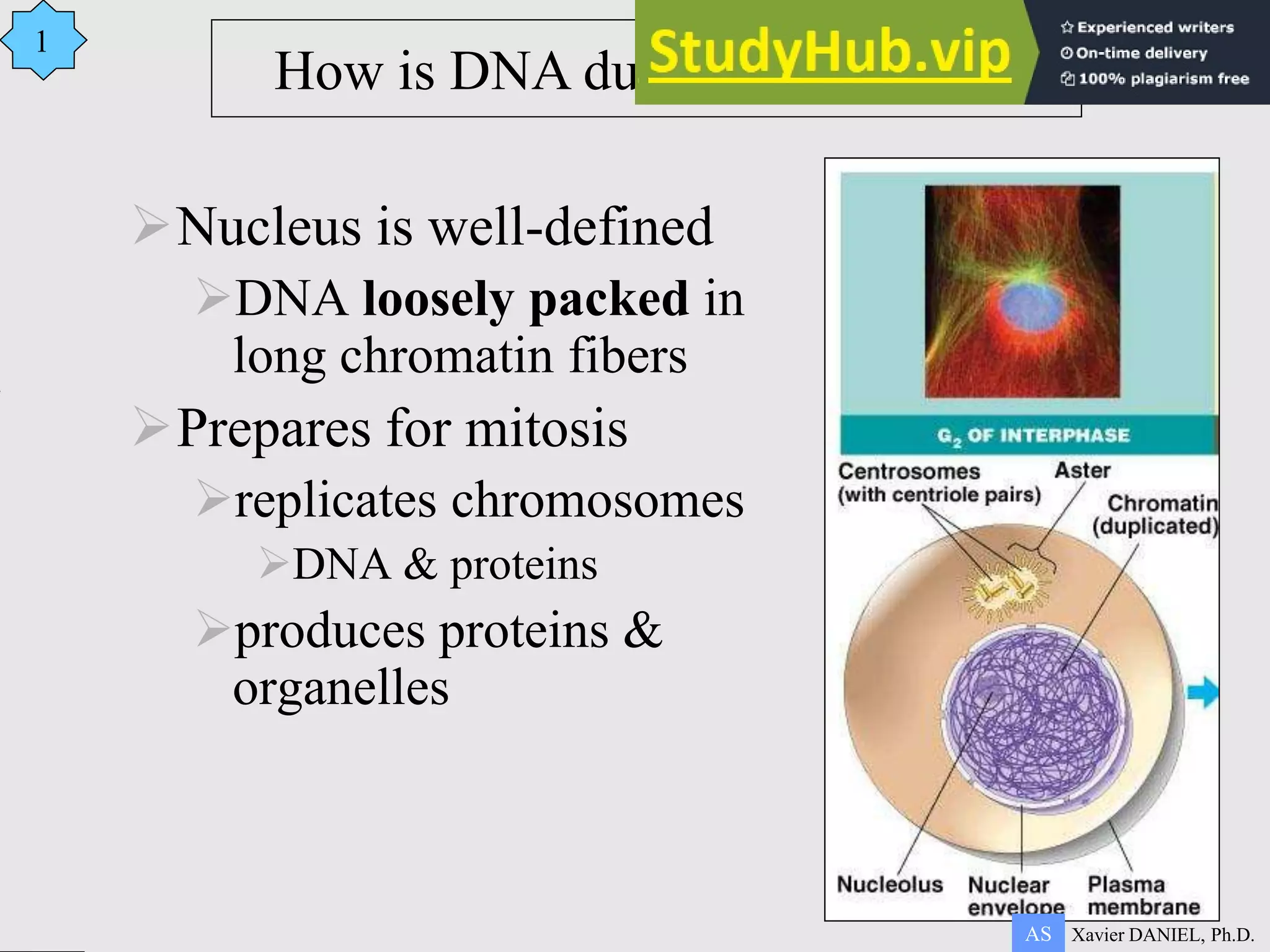 AS CIE Cell And Nuclear Division (Mitosis And Meiosis) | PPT