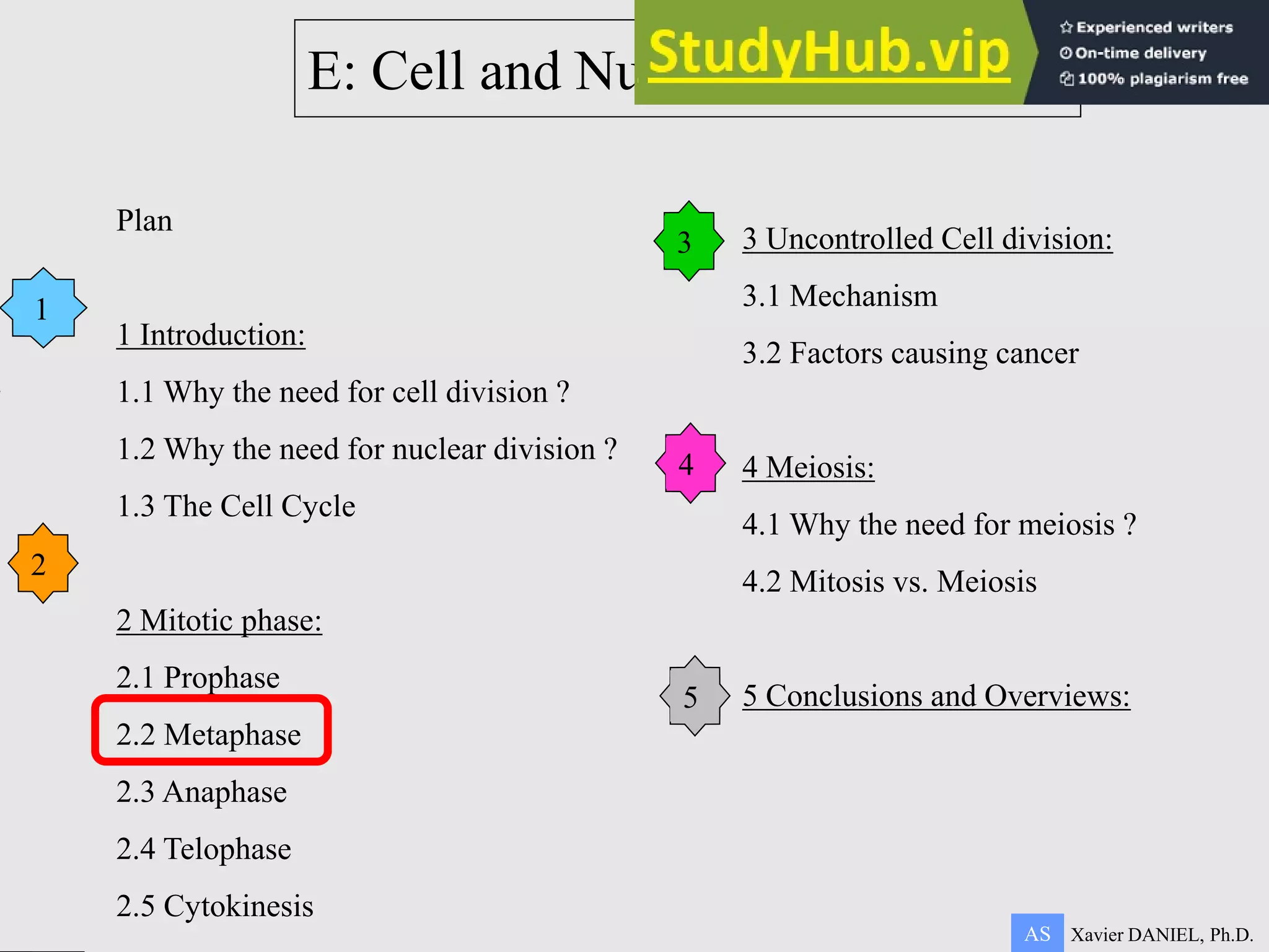 AS CIE Cell And Nuclear Division (Mitosis And Meiosis) | PPT