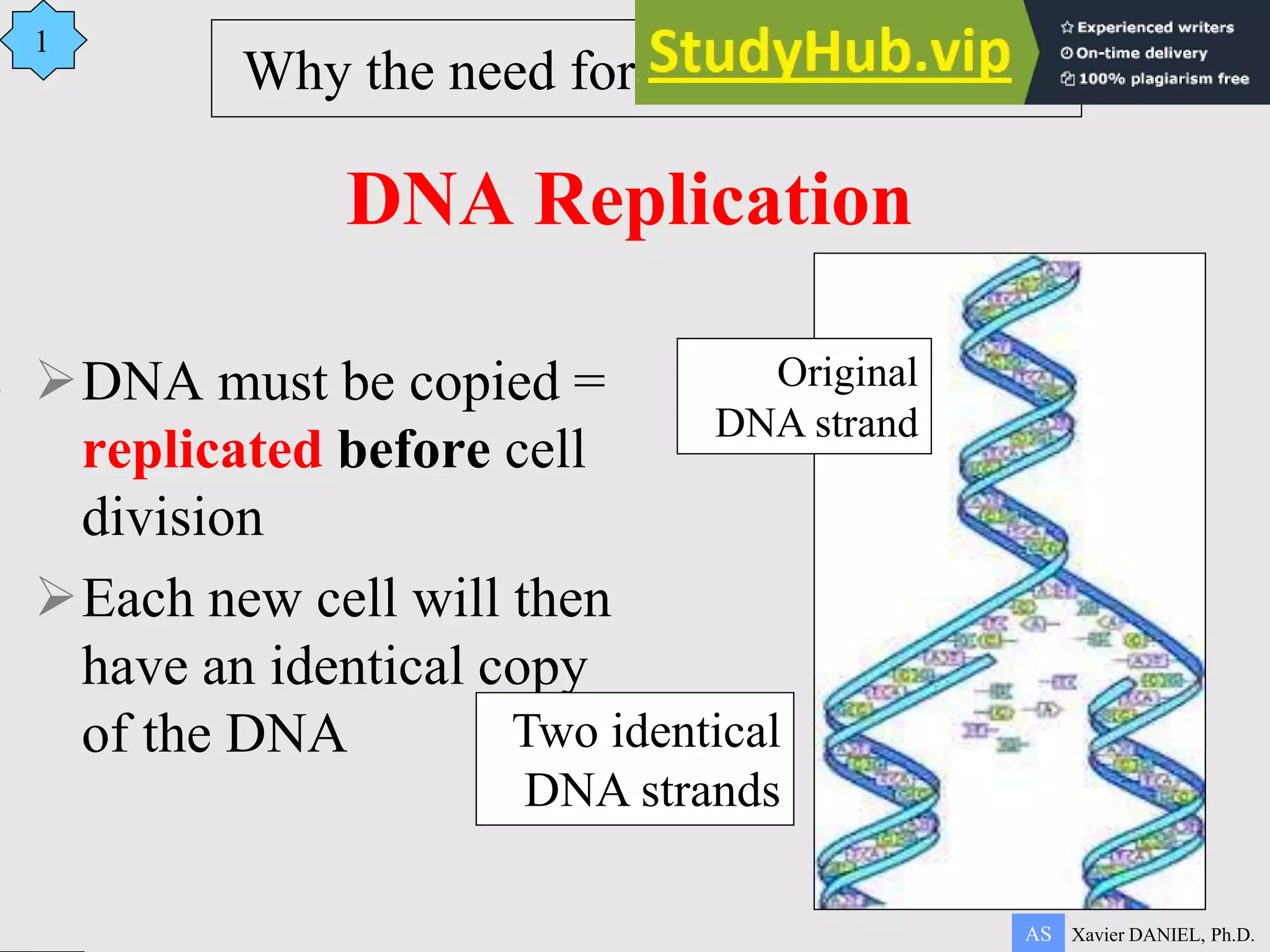 AS CIE Cell And Nuclear Division (Mitosis And Meiosis) | PPT
