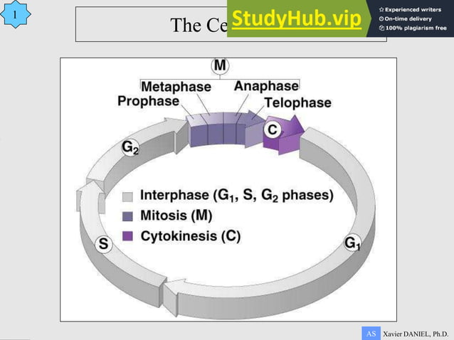 AS CIE Cell And Nuclear Division (Mitosis And Meiosis) | PPT