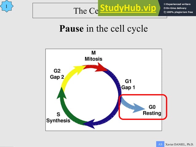 AS CIE Cell And Nuclear Division (Mitosis And Meiosis) | PPT