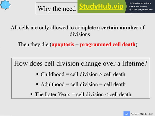 AS CIE Cell And Nuclear Division (Mitosis And Meiosis) | PPT