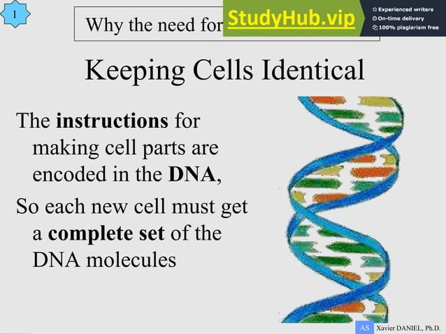 AS CIE Cell And Nuclear Division (Mitosis And Meiosis) | PPT