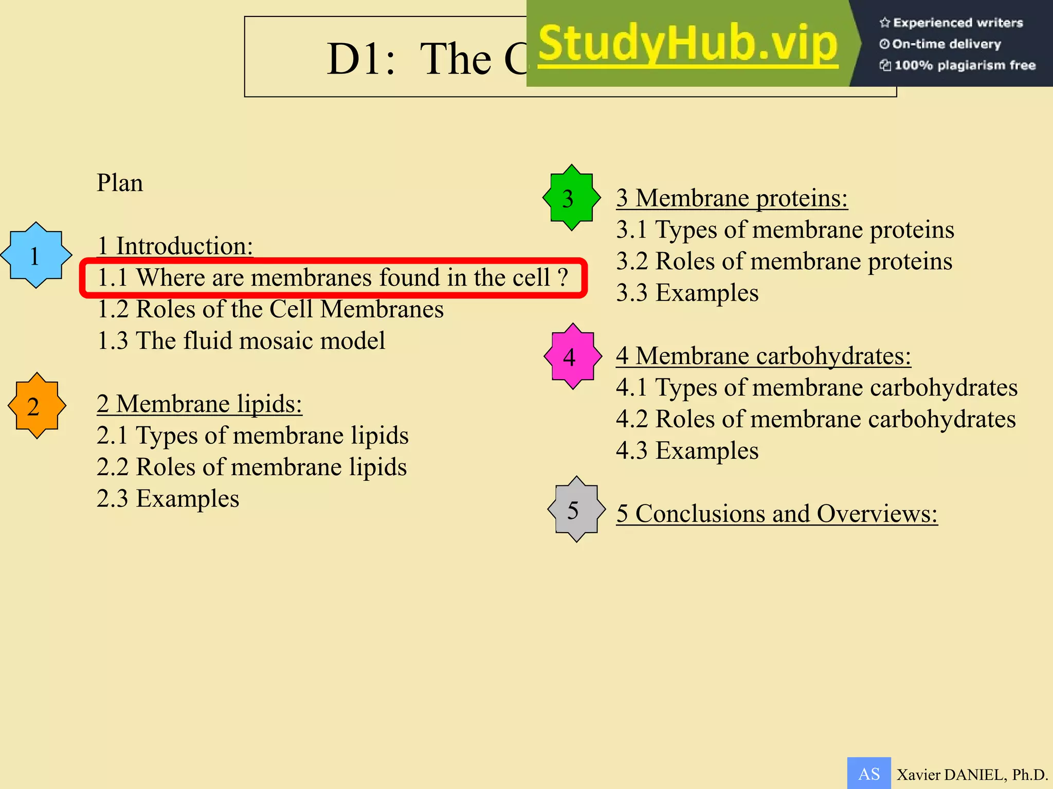 AS CIE Cell Membranes | PDF