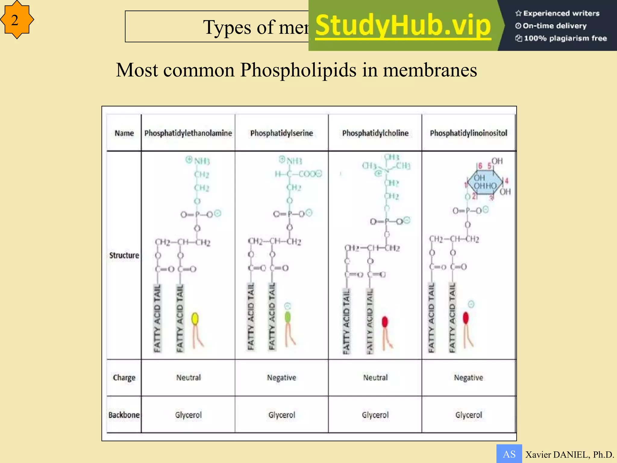 AS CIE Cell Membranes | PDF