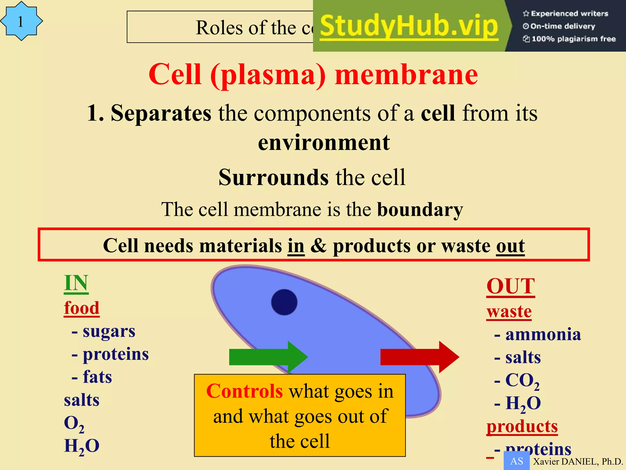 AS CIE Cell Membranes | PDF