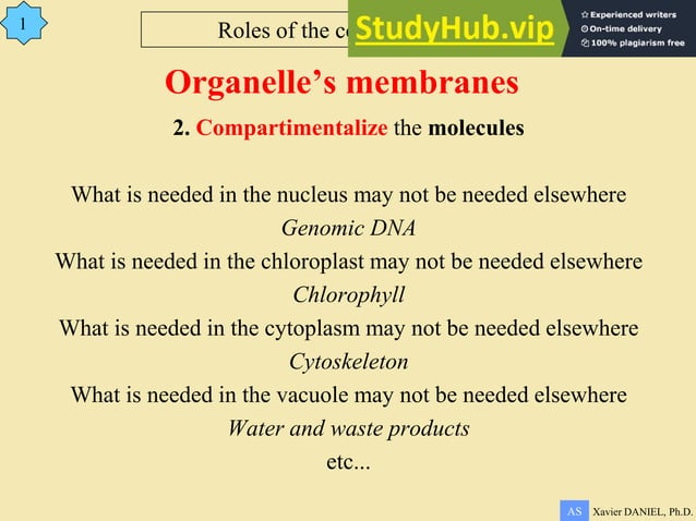 AS CIE Cell Membranes | PDF