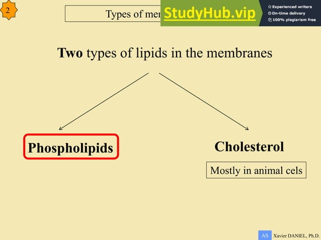 AS CIE Cell Membranes | PDF
