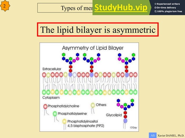 AS CIE Cell Membranes | PDF
