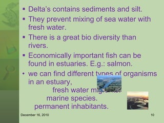 A scientific investigation in the environment | PPT