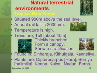 A scientific investigation in the environment | PPT | Geography | Science