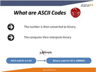 Ascii | PDF