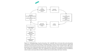 ASCITES-1.study of mechanisms of ascites fluid formation | PPT