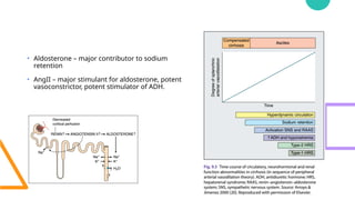 ASCITES-1.study of mechanisms of ascites fluid formation | PPT