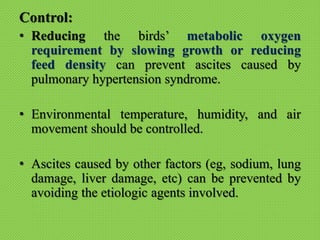 Ascites- Right ventricular hypertrophy syndrome in chicken. | PPTX