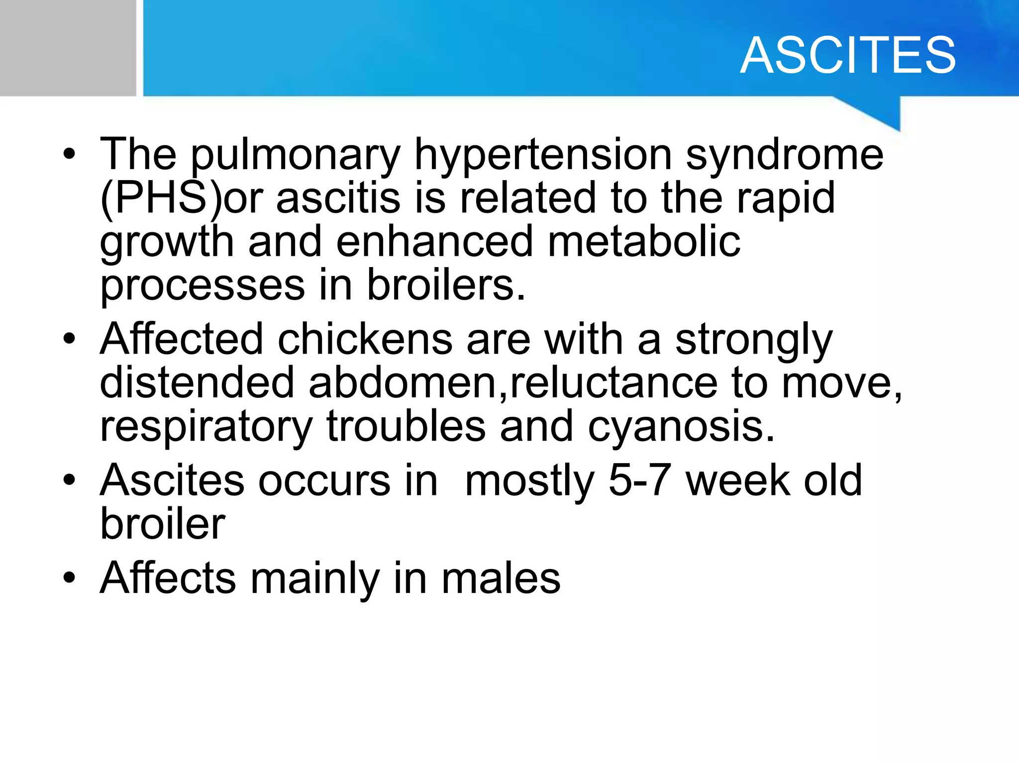 Ascites | PPT