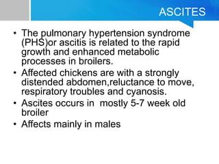 Ascites | PPT