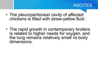 Ascites | PPT