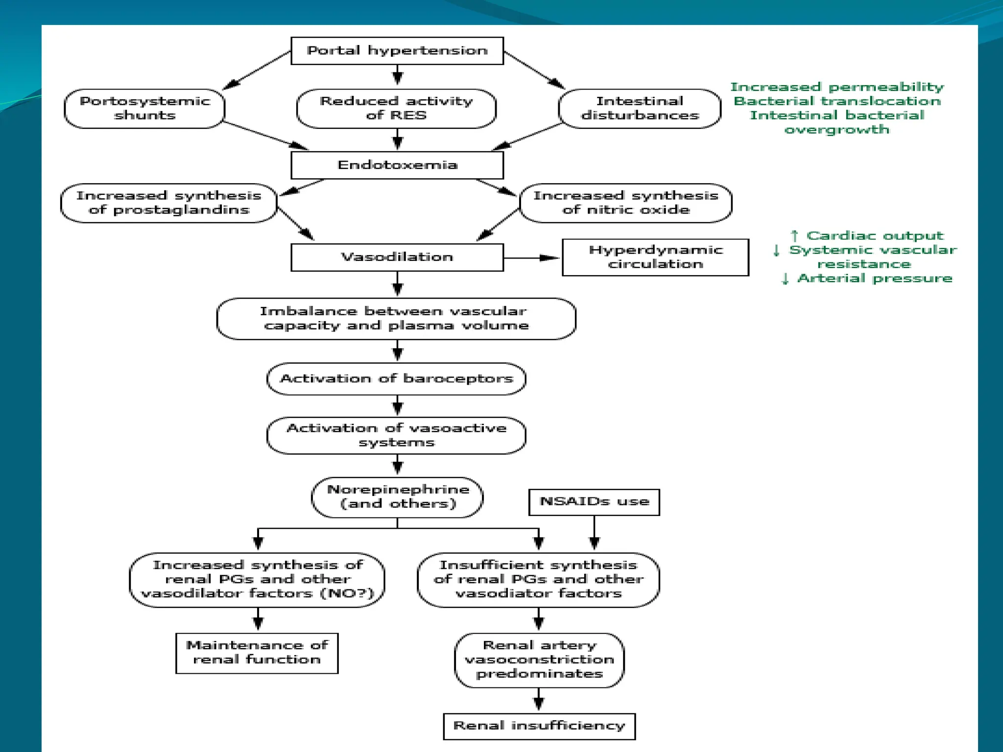 ascites-mu1.ppt case presentation of ascites | PPT