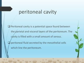 Ascites in ultrasound.pdf Ascites, ultrasound, diagnose | PDF