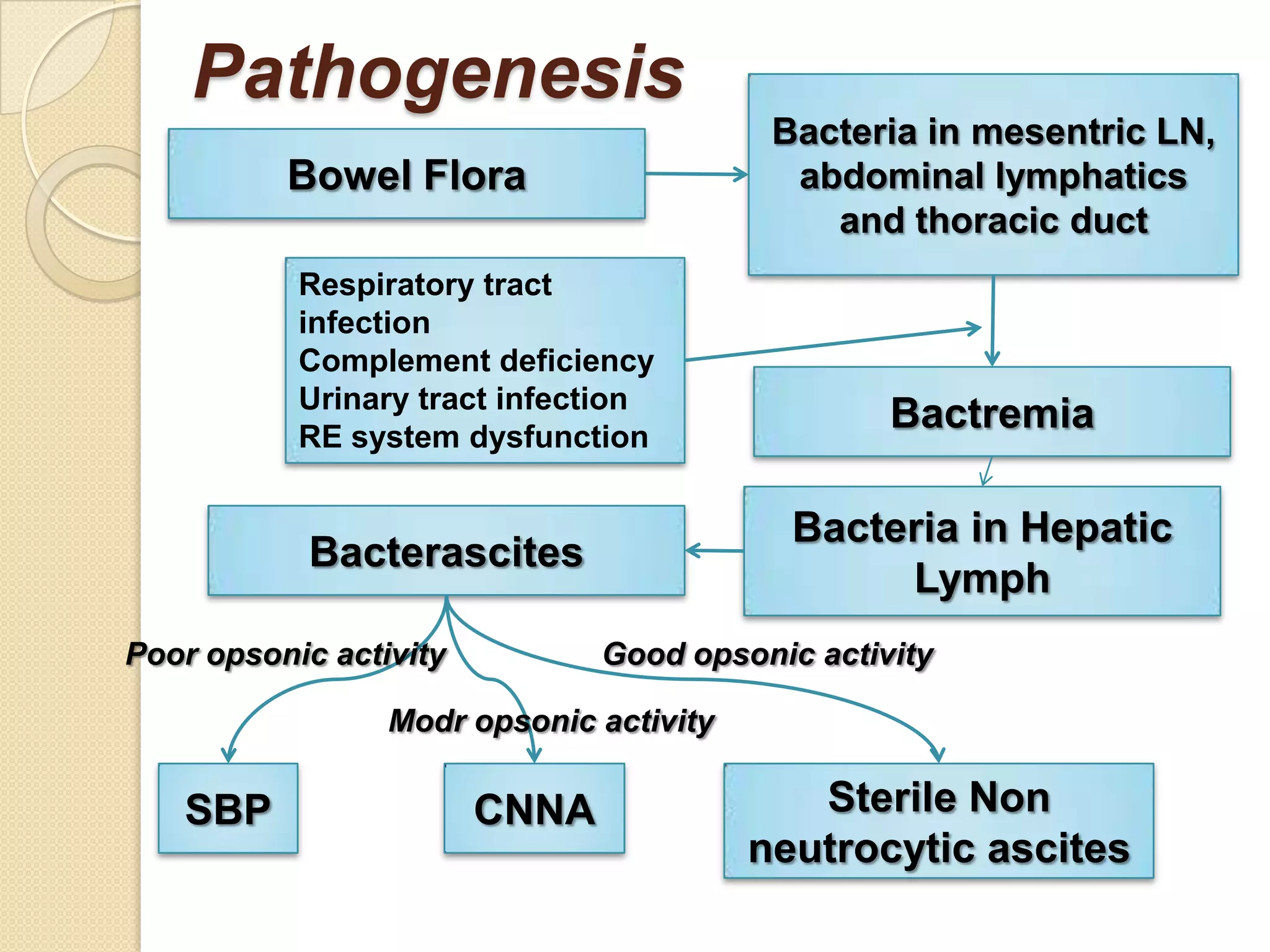 Ascites related complications final | PPTX