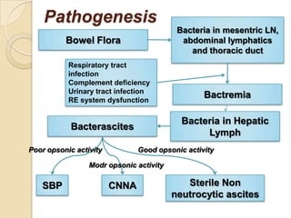 Ascites related complications final | PPT