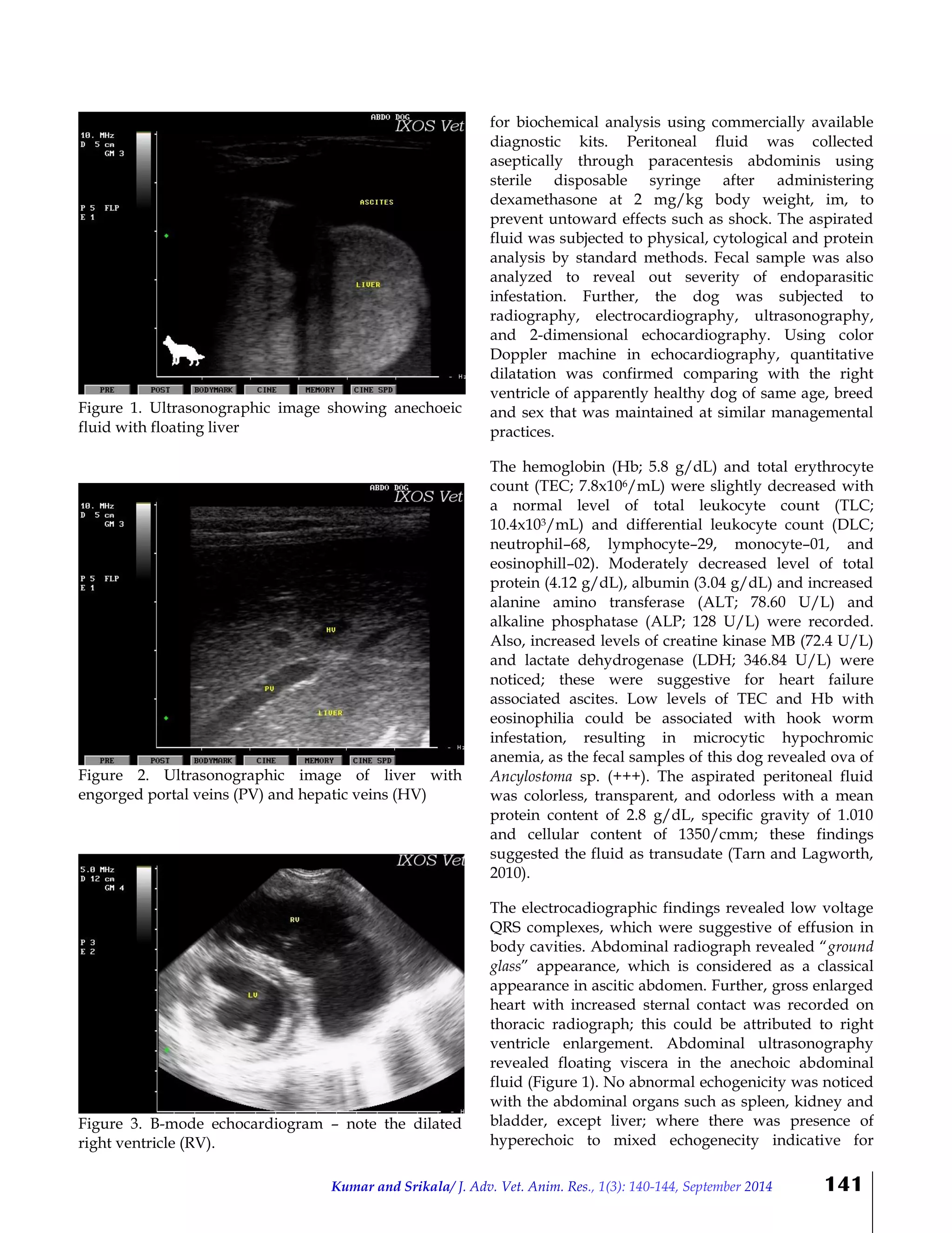 Ascites with right heart failure in a dog diagnosis and management | PDF