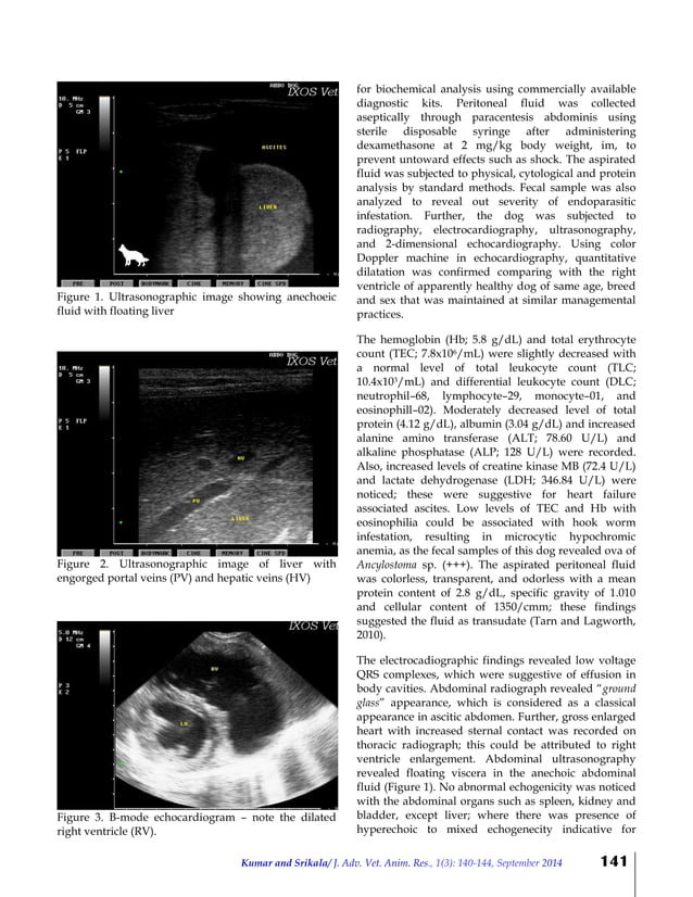 Ascites with right heart failure in a dog diagnosis and management ...