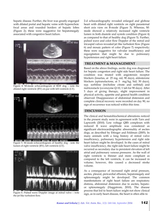 Ascites with right heart failure in a dog diagnosis and management | PDF