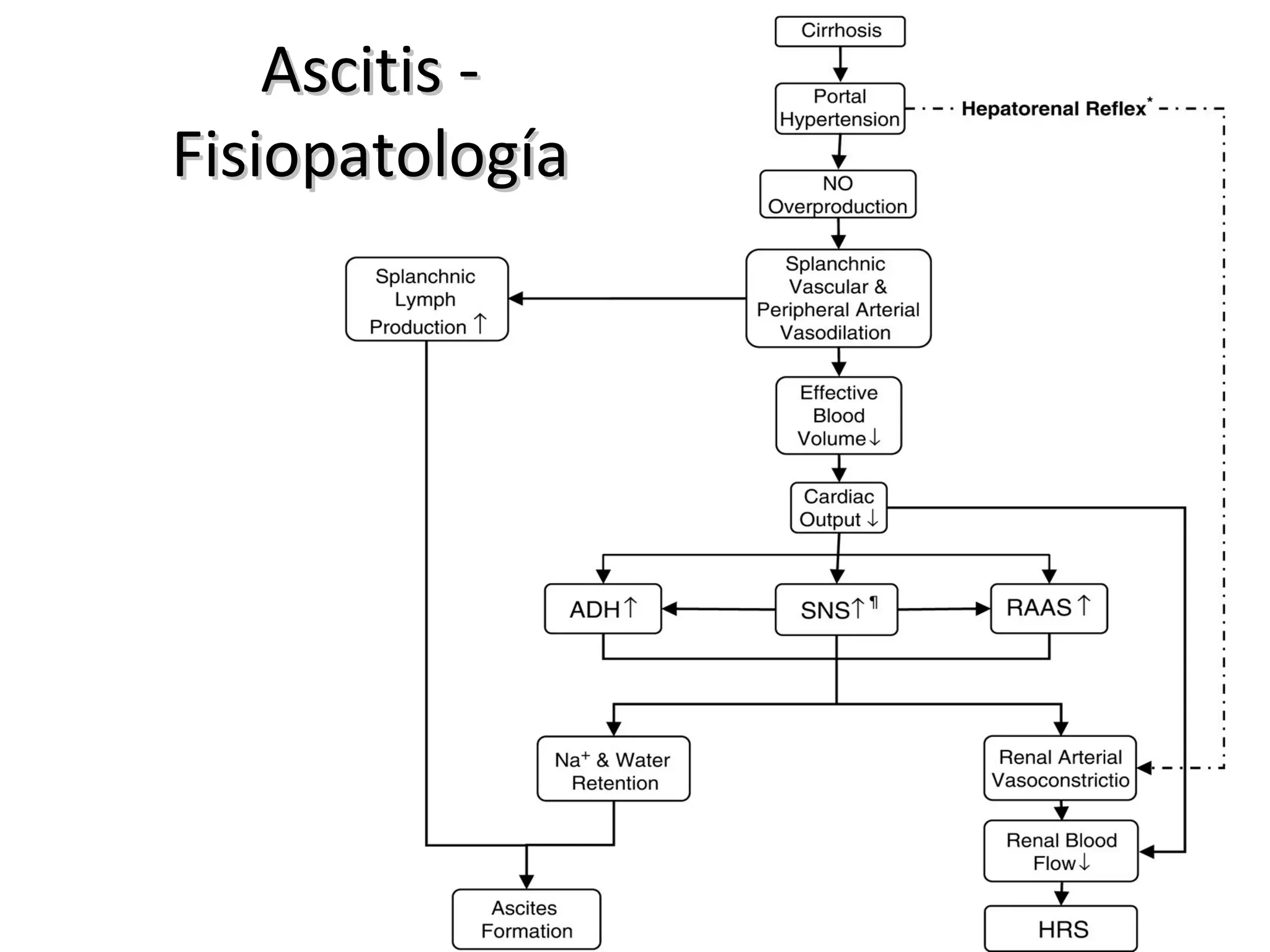 Ascitis - Medicina Interna II - UAI | PPT