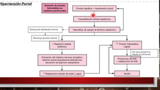 ASCITIS, TIPOS DE LIQUIDO ASCITICO, FISIOPATOLOGIA Y ABORDAJE ...
