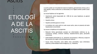 ASCITIS (1) (1).pptx